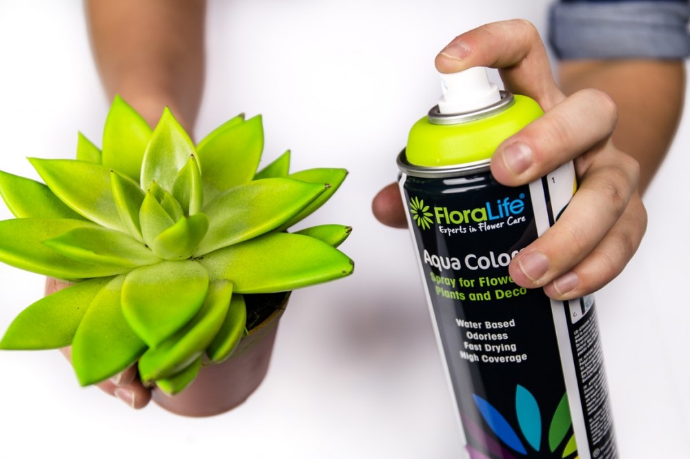 Floralife® Aqua Colors Spray - OASIS® Floral Products