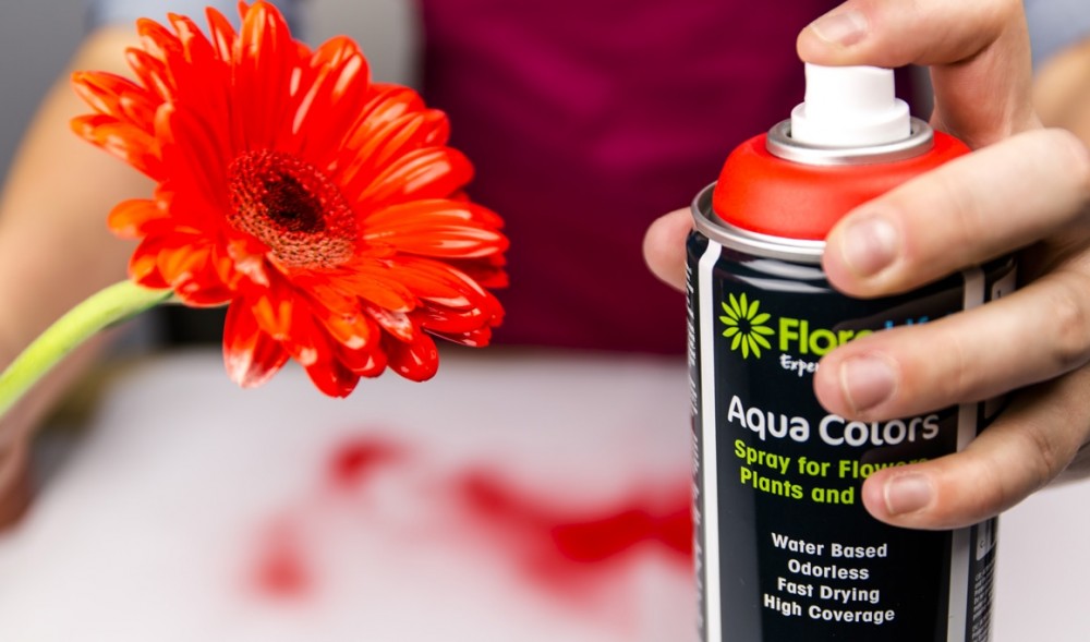 Floralife® Aqua Colors Spray - OASIS® Floral Products
